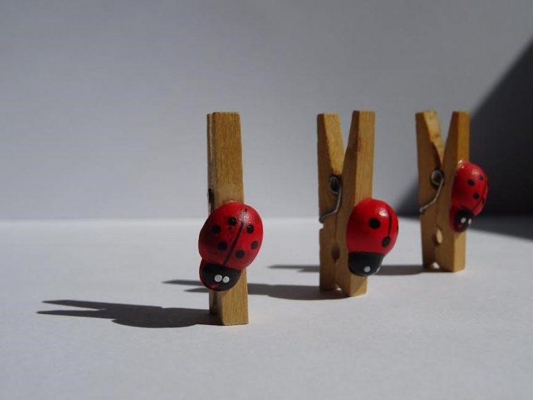 Ozone Spirit Mini Split Manual - Comprehensive Guide